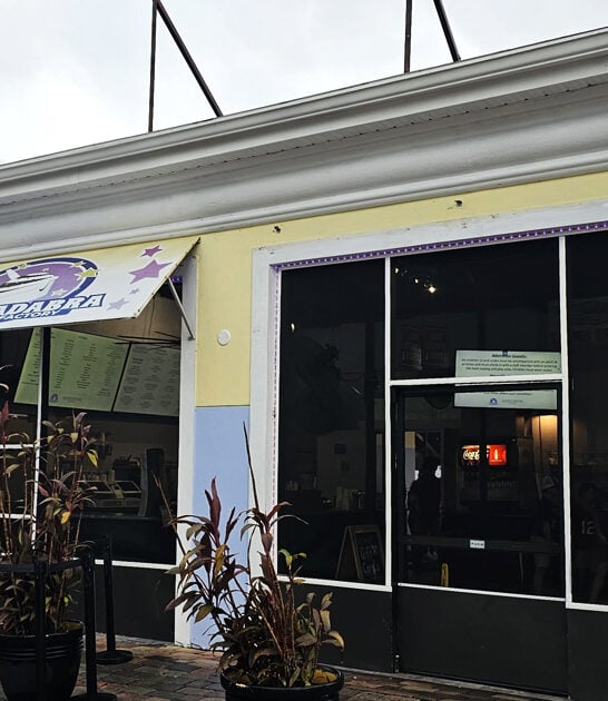 iconic ice cream florida ftr