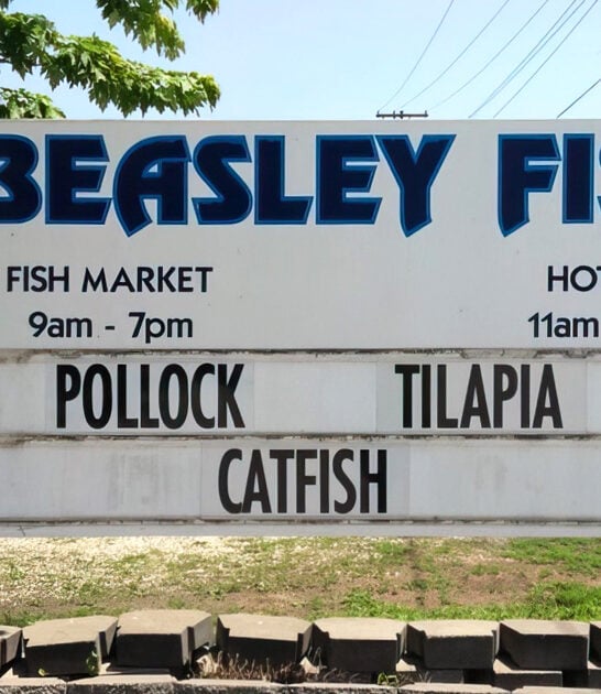 illinois fried fish restaurant ftr
