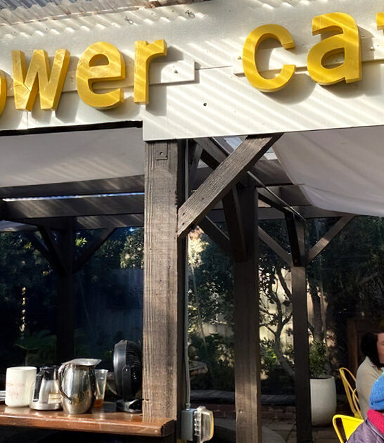 laid back cafe california ftr