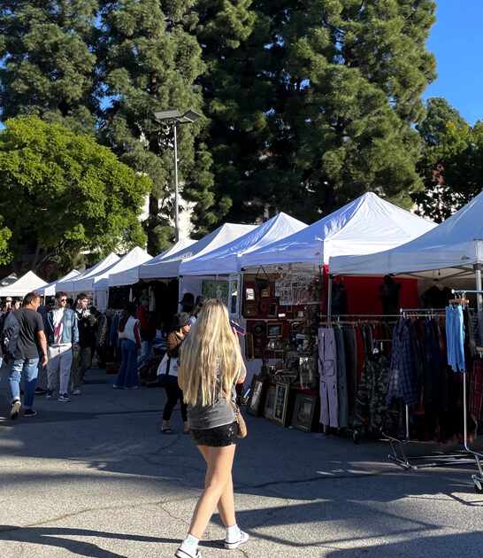 market bargains california massive ftr