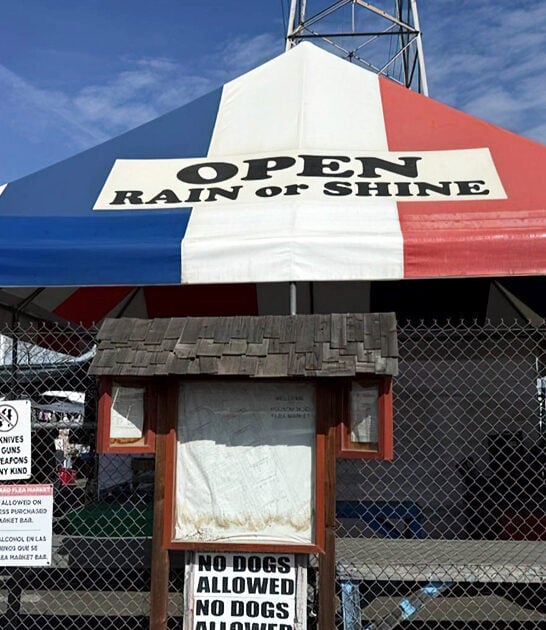 market gigantic california bargains ftr