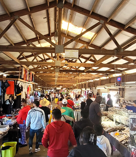 markets south carolina bargains ftr