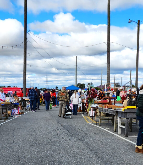 massive pennsylvania flea paradise ftr