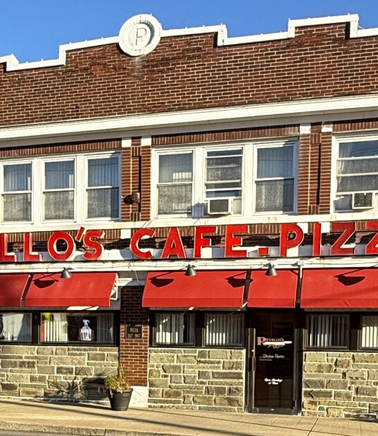 onion rings pizzeria pennsylvania ftr