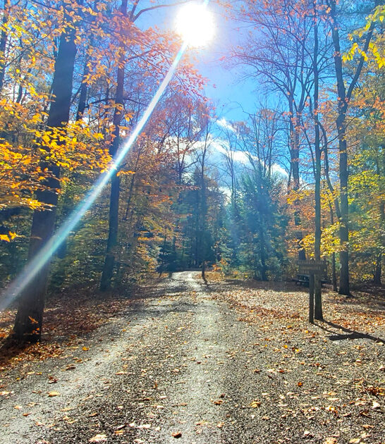 park pennsylvania good amazing ftr