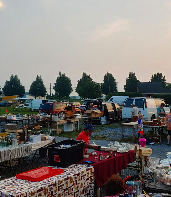 pennsylvania flea rare treasures ftr