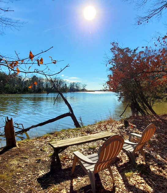 picture perfect park maryland ftr