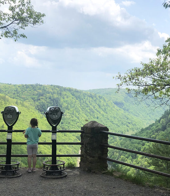 picture perfect pennsylvania park ftr