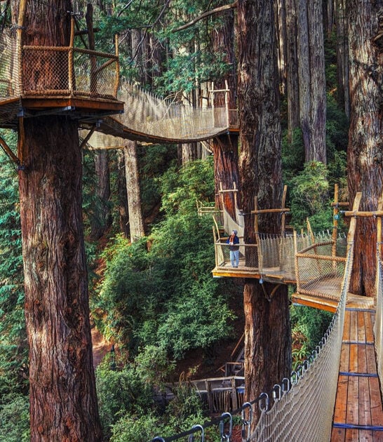 scenic redwood trail california ftr