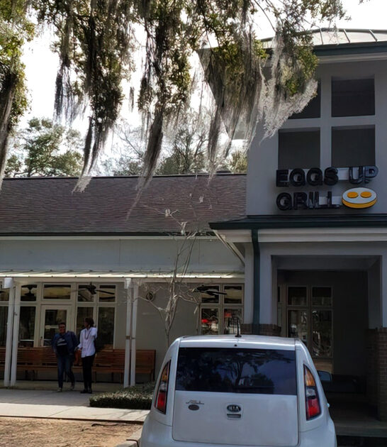 south carolina best waffle ftr