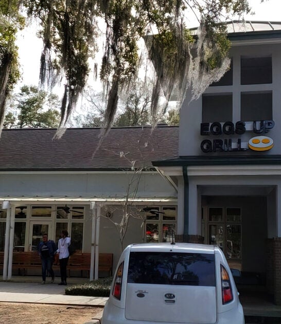 south carolina eggs restaurant ftr
