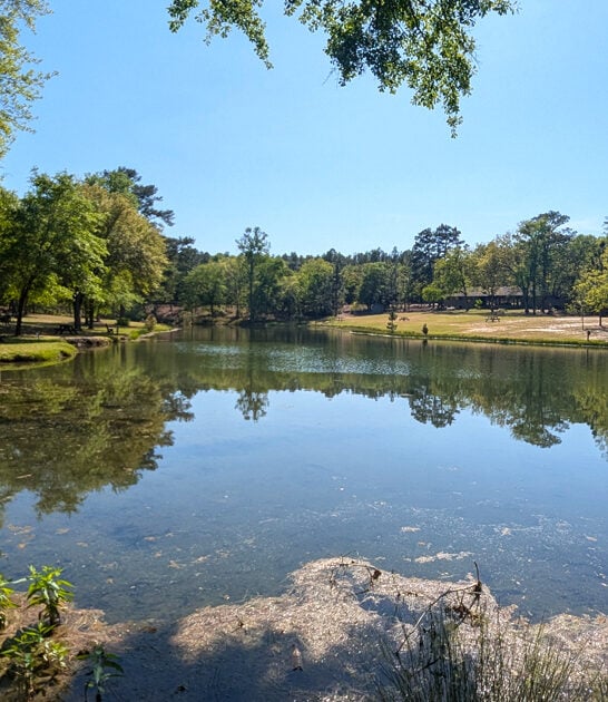 south carolina nature nirvana ftr