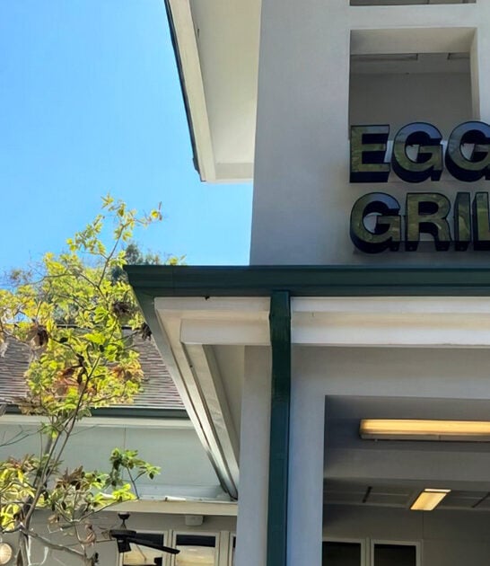 south carolina omelette diner ftr