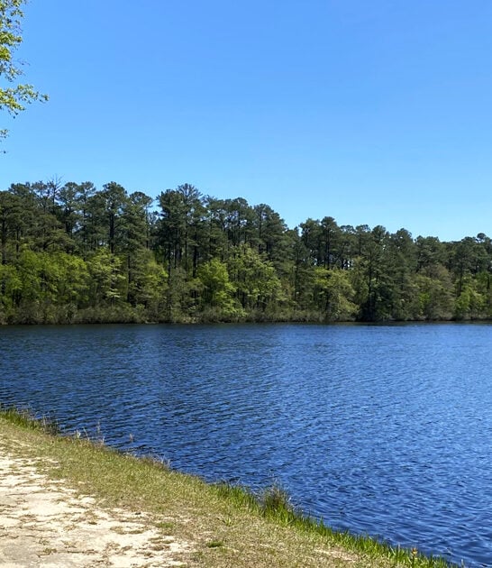 south carolina park paradise ftr