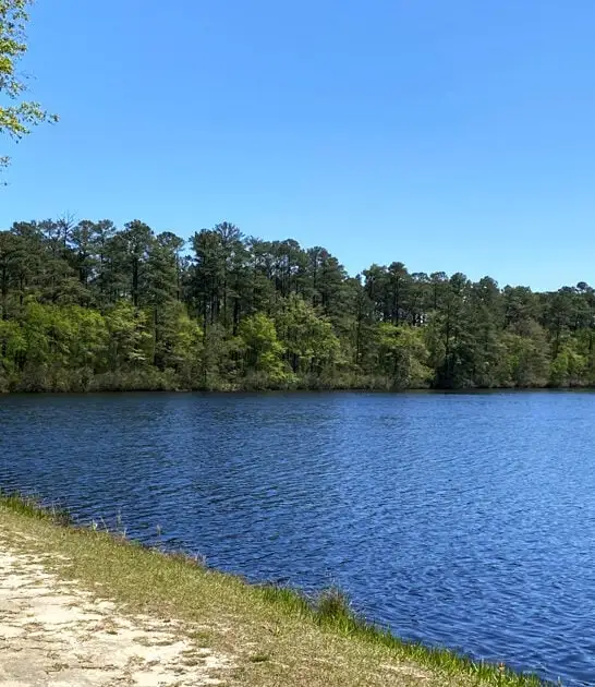 south carolina park paradise ftr