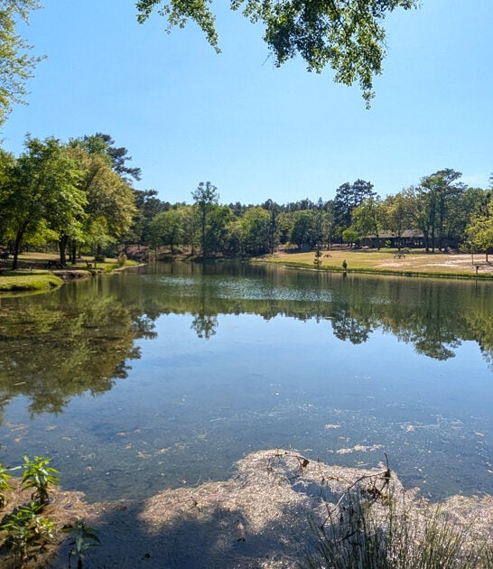 south carolina trail treasure ftr