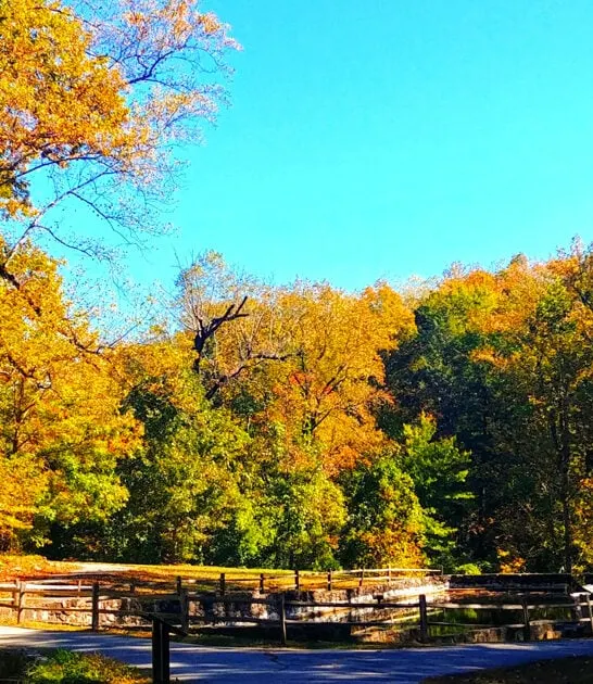 south carolina waterfall park ftr
