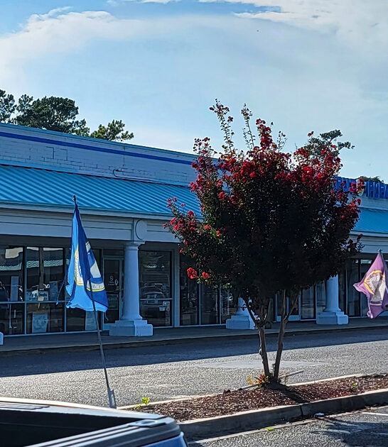 south market carolina ftr
