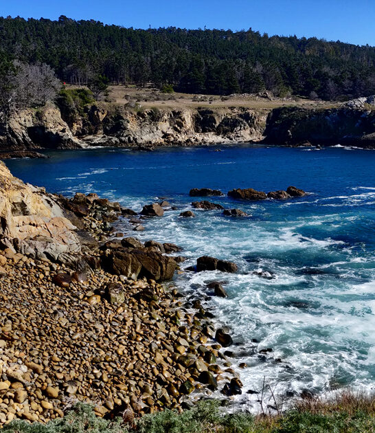 state park california best ftr