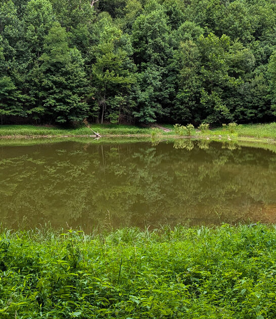 state park stunning pennsylvania ftr