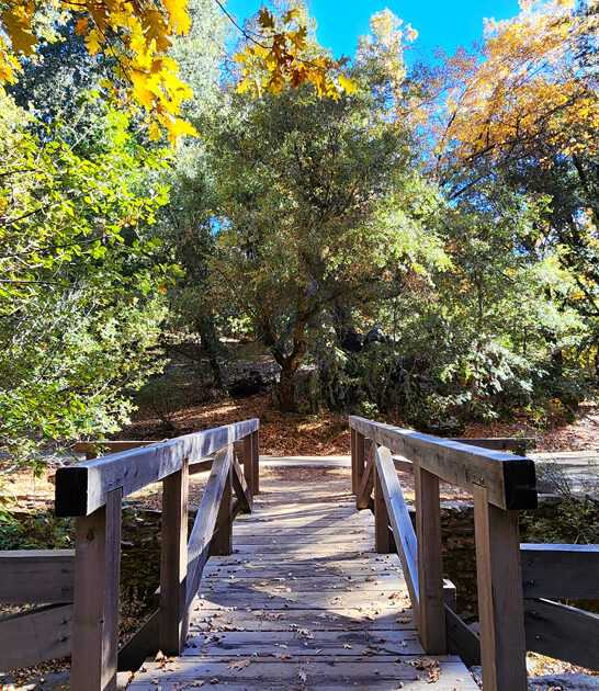 state relaxing park california ftr