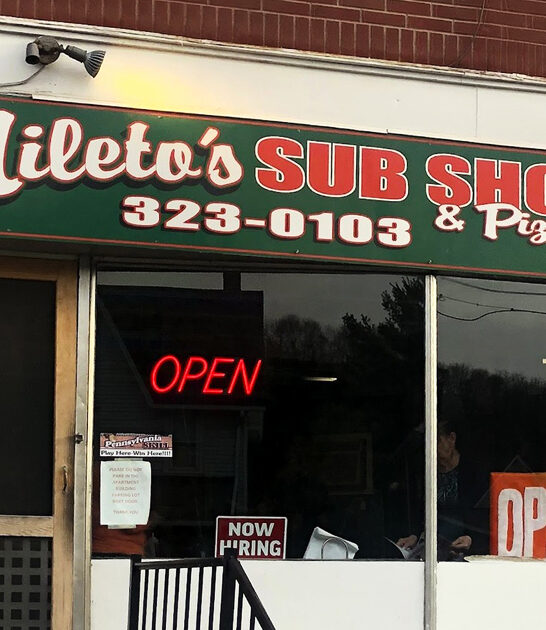 sub shop pennsylvania pizza ftr