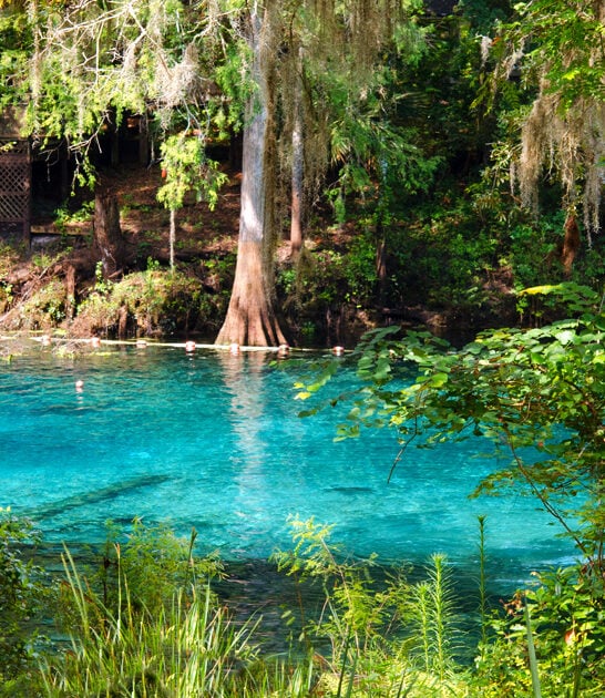 surreal florida natural spring ftr