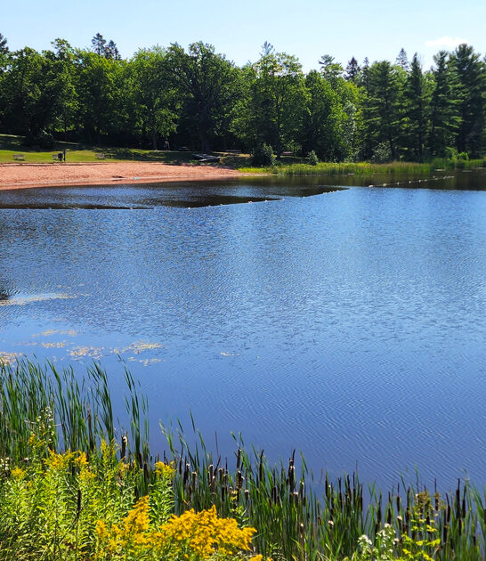 surreal wisconsin state park ftr