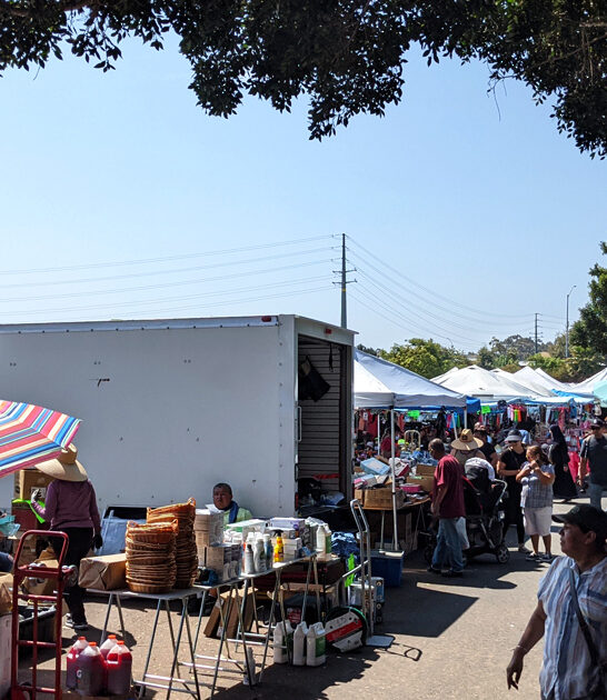 swap meet california locals ftr