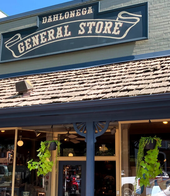 timey general store georgia ftr