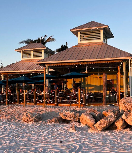 tiny florida grouper sandwiches ftr