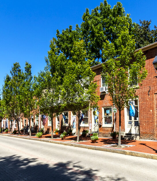 towns delaware simple living ftr