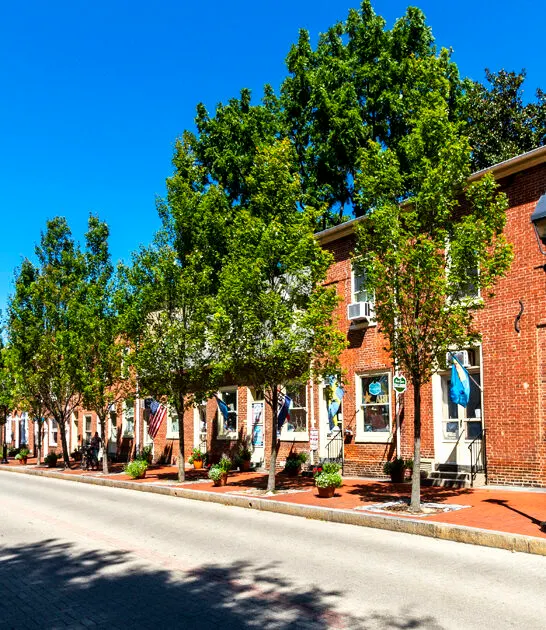 towns delaware simple living ftr