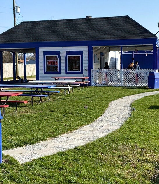 unassuming michigan french fries ftr