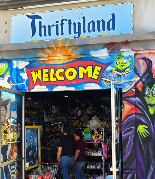 underrated california shop rare ftr