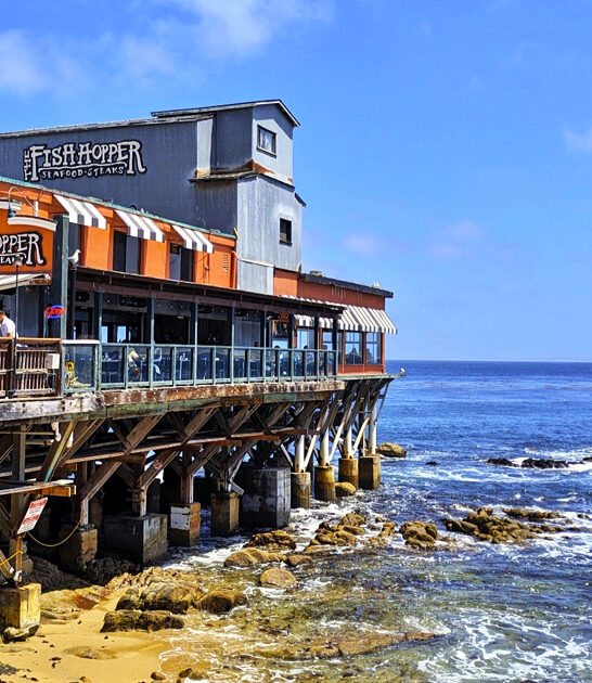 unfussy california fish chips ftr