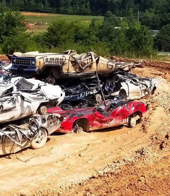 wild adventure park georgia ftr
