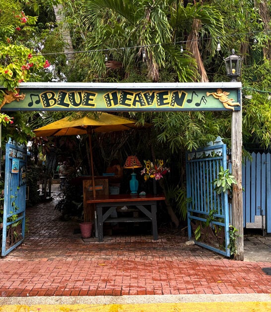wonderfully wacky cafe florida ftr