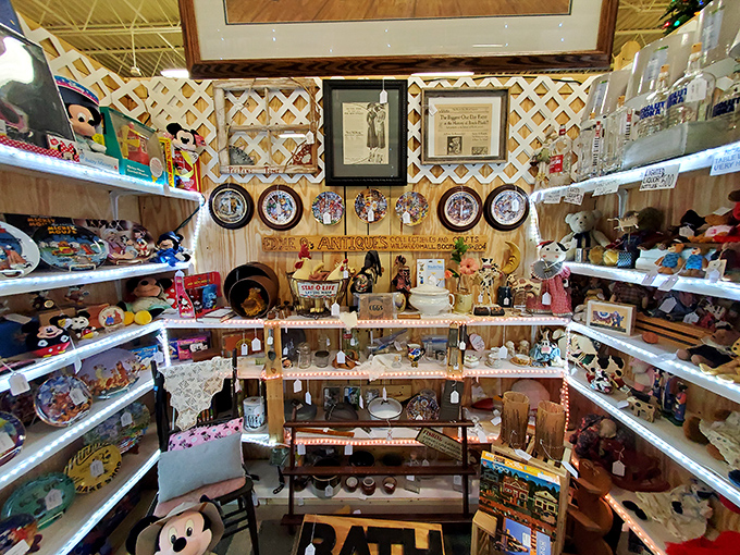 A treasure hunter's dream! This booth is a Disney collector's paradise, with Mickey memorabilia and vintage collectibles creating a nostalgic wonderland.