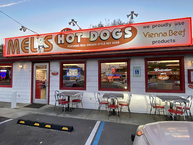 The neon glow of Mel's Hot Dogs sign has been a beacon for hungry Tampa residents longer than most Florida condos have been standing.