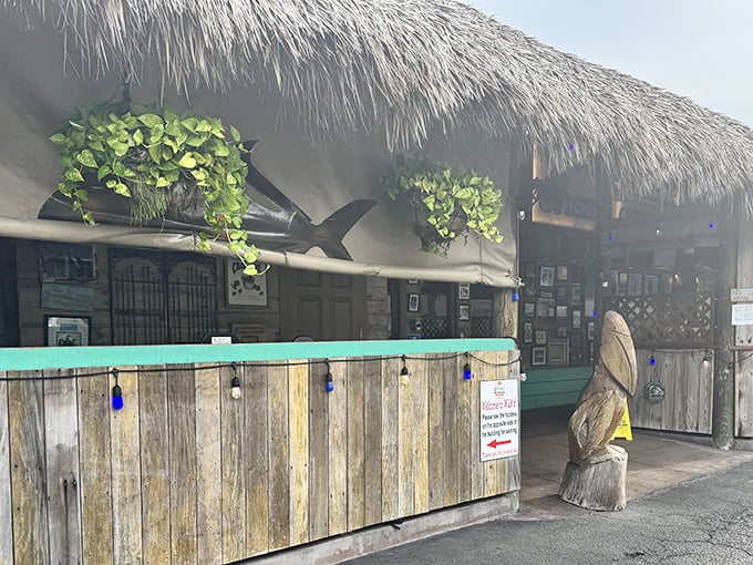 Weathered wood, turquoise accents, and that signature shark silhouette – Walt's exterior is coastal Florida in architectural form.