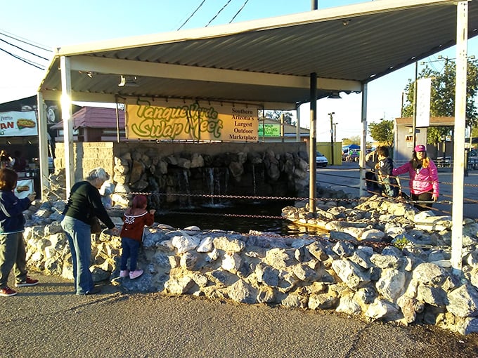 The wishing well at Tanque Verde's entrance – where kids toss coins and parents secretly hope they'll find treasures worth more inside.