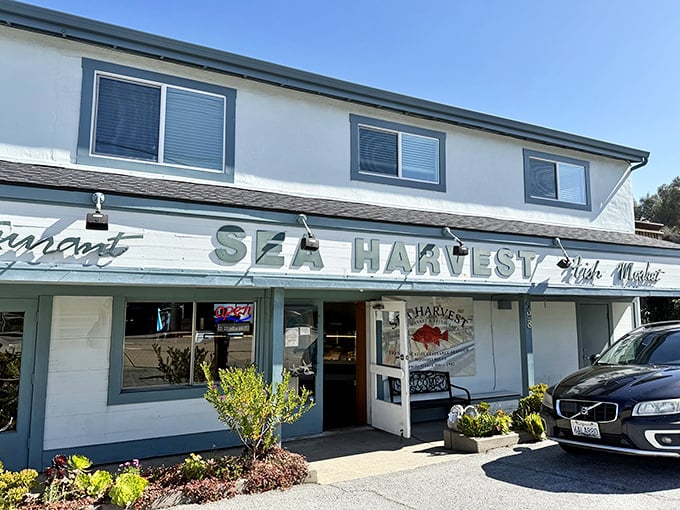 The unassuming exterior of Sea Harvest belies the seafood treasures within. Like finding a pearl in an ordinary oyster!