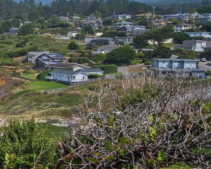 Houses cascade down Trinidad's hillsides like a California coastal village that time forgot, where fog-kissed mornings give way to postcard-perfect afternoons.