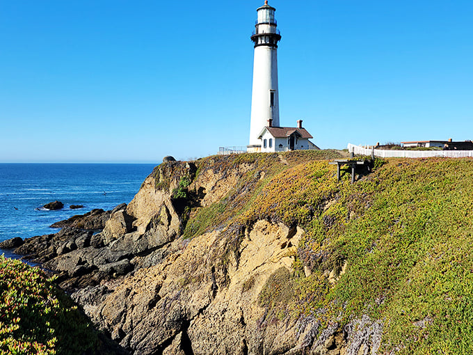 Mother Nature showing off with her perfect backdrop game – wildflowers, dramatic cliffs, and a lighthouse that practically begs you to start writing sea poetry.
