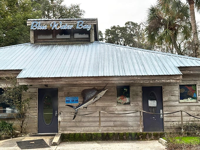 The unassuming exterior of Blue Water Bay, where that mounted marlin is basically saying, "Yes, we know what we're doing with seafood."