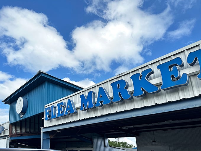 That iconic blue sign promises treasure hunts that would make pirates jealous of landlubbers.