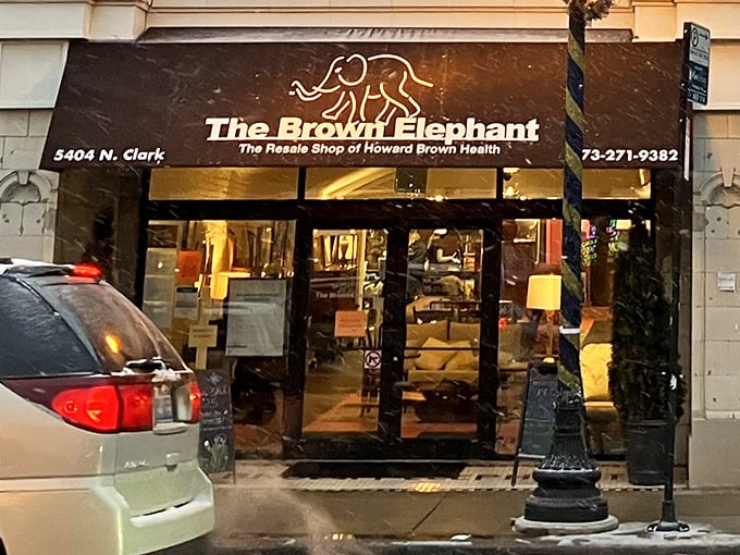 The Brown Elephant's storefront beckons like a portal to treasure-hunting paradise on Clark Street.