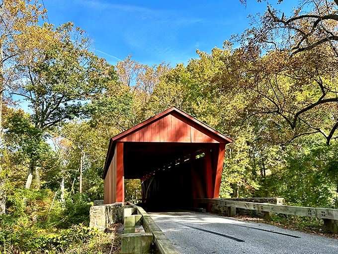The crimson tunnel of the Jericho Covered Bridge beckons like a portal to simpler times, its wooden beams creating a mesmerizing geometric dance overhead.