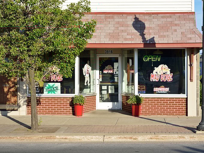 This unassuming storefront hides culinary magic that draws hot dog pilgrims from across Michigan.